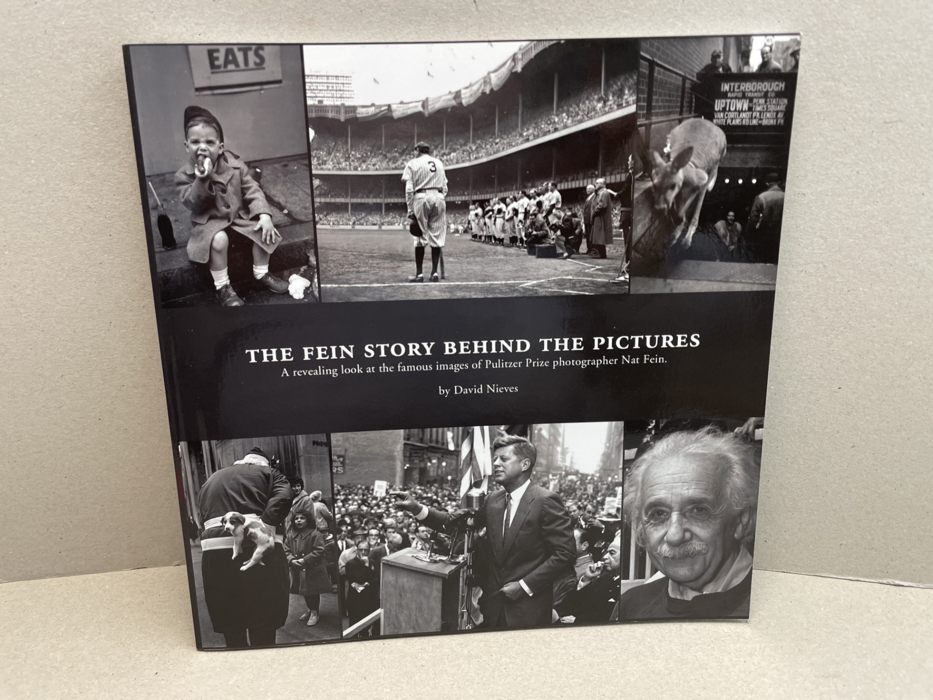 The Fein Story Behind the Pictures: A Revealing Look at the Famous ...